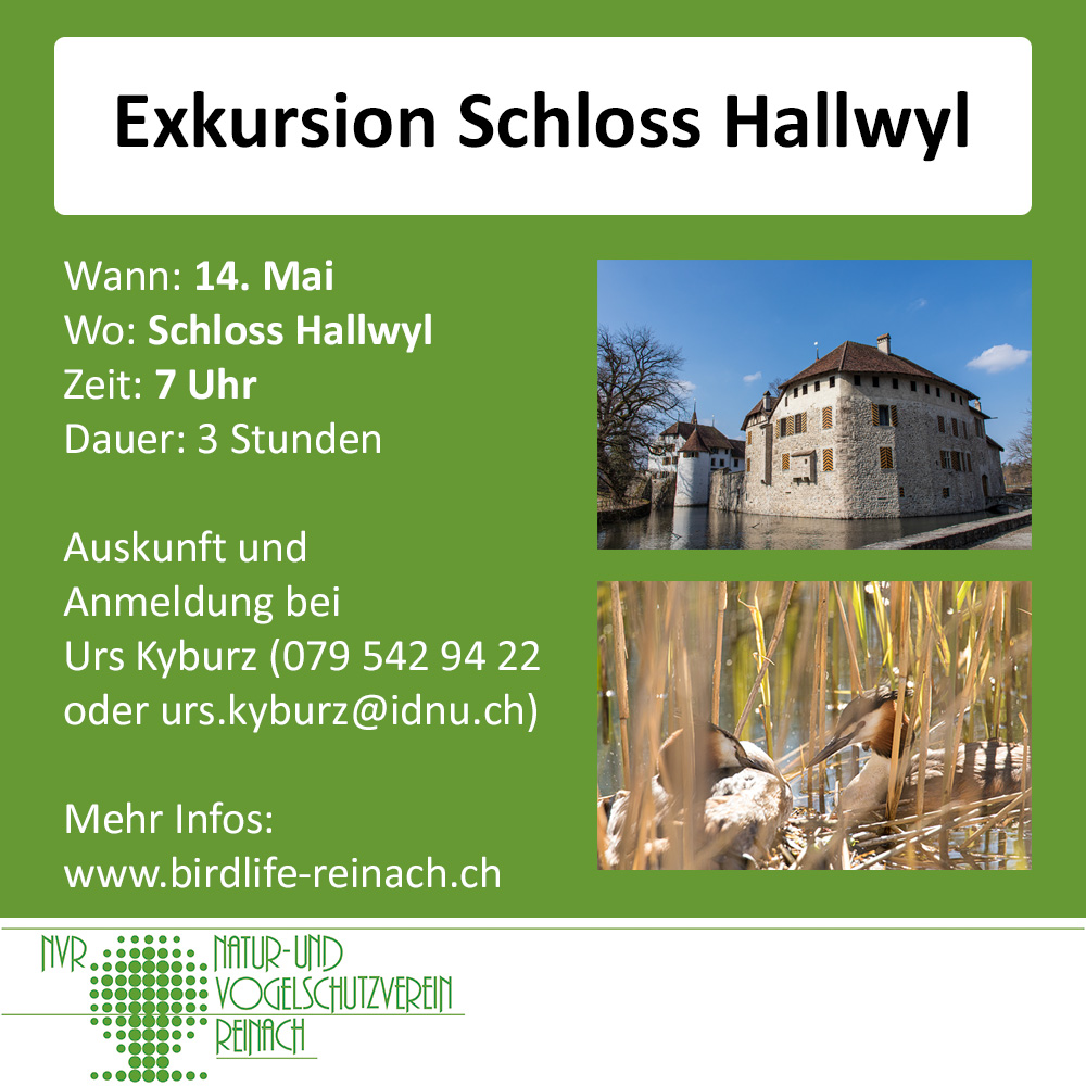 Exkursion Schloss Hallwyl | BirdLife Reinach